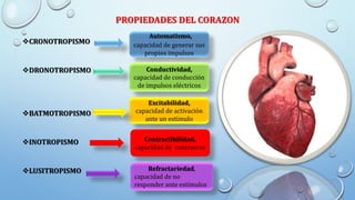 PATOLOGIA II - Corazon | PPTX