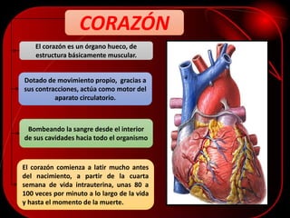 CORAZON-DIAPO-2-2.pptx