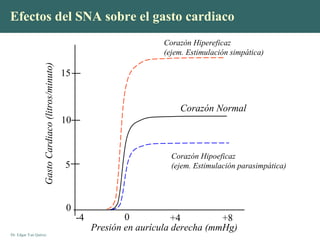 Corazon como bomba | PPT