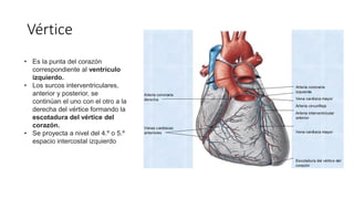 Corazón configuración externa | PPT