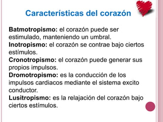 anatomia y fisiologia del corazon | PPTX