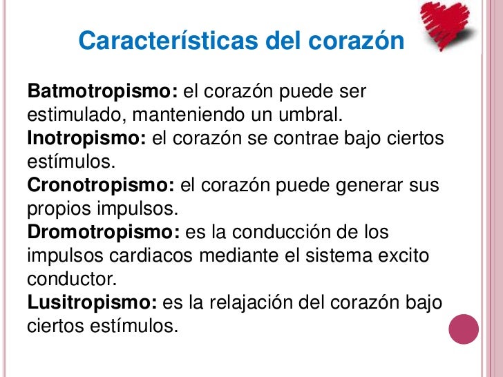 anatomia y fisiologia del corazon