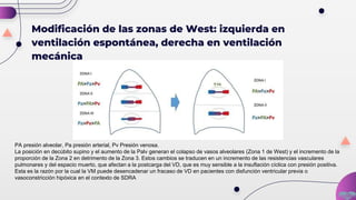 interaccion entre Corazon y pulmon act.pptx