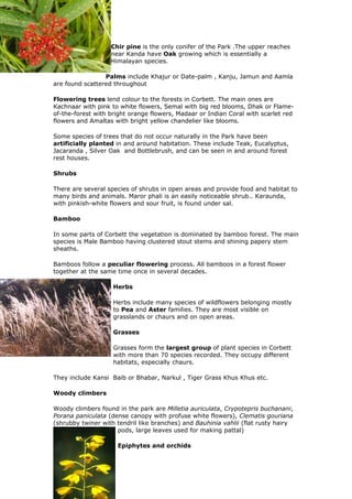 Corbett national park situated in the foothills of the himalayas | DOC ...