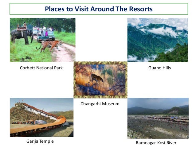 Corporate Offsite in Jim Corbett | PPT