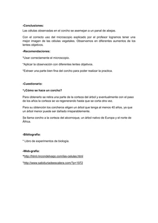 celulas del corcho | DOCX
