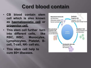 Cord blood bank | PPTX