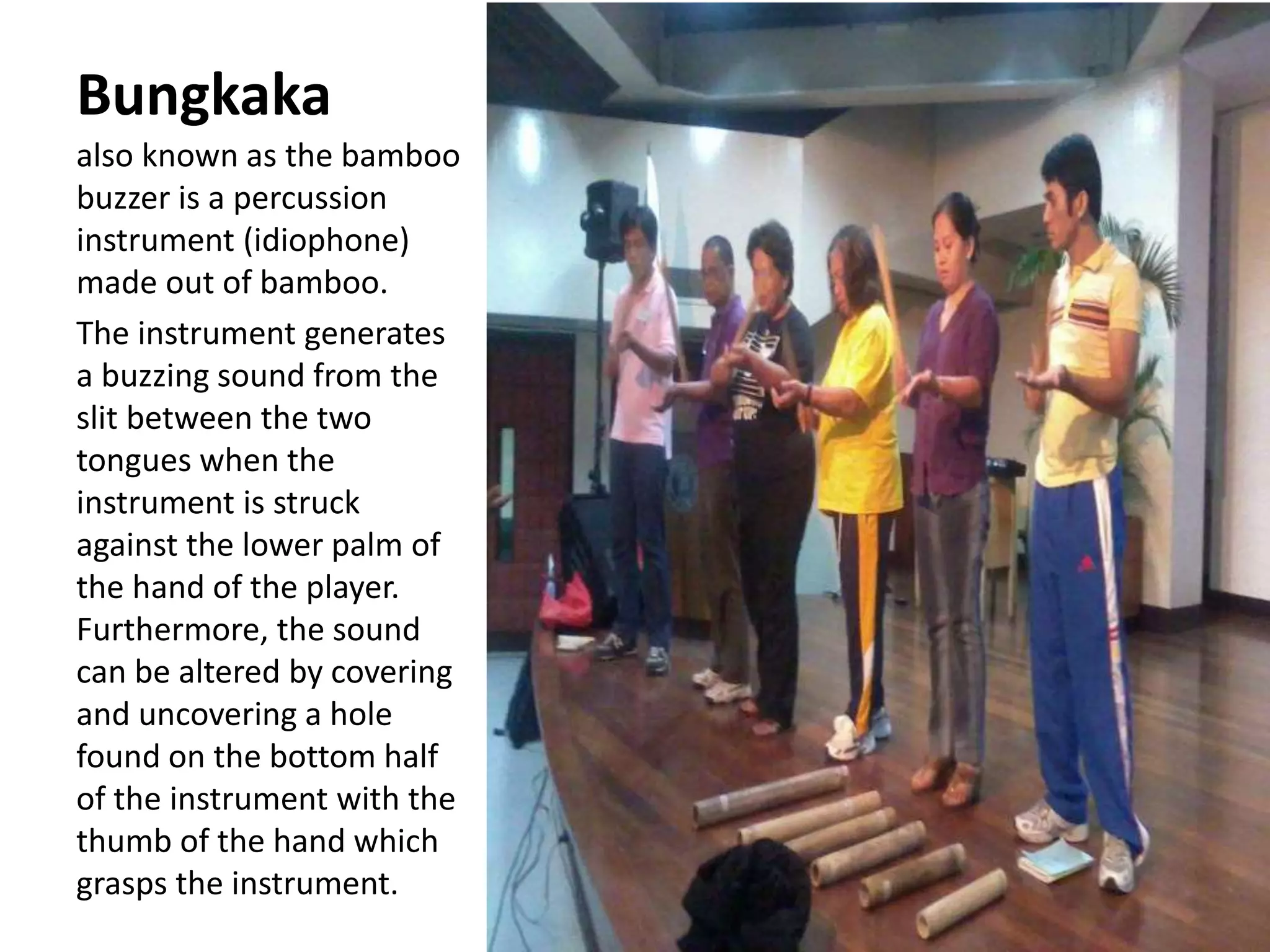 Music of the Cordilleras | PPTX