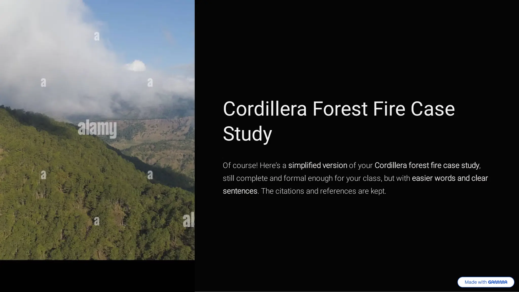 Cordillera-Forest-Fire-Case-Study (1).pdf