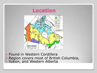 Cordilleran vegetation | PPTX