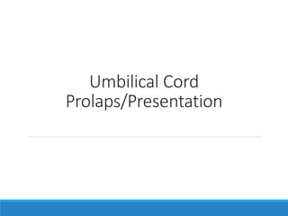cordon ombilical eng.ppt