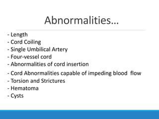 cordon ombilical eng.ppt
