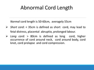 cordon ombilical eng.ppt