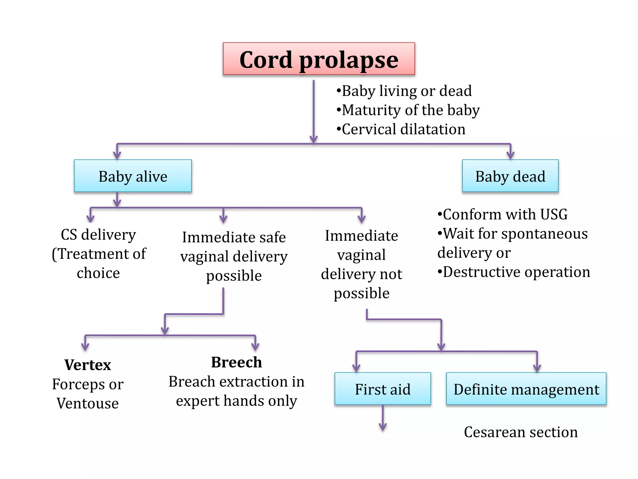 Cord Prolapse.pptx