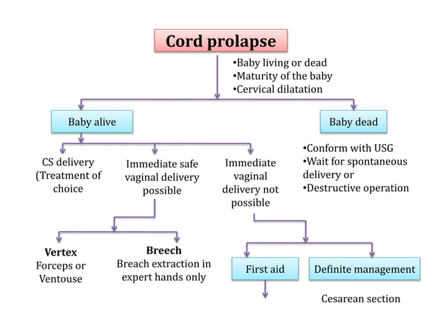 Cord Prolapse.pptx
