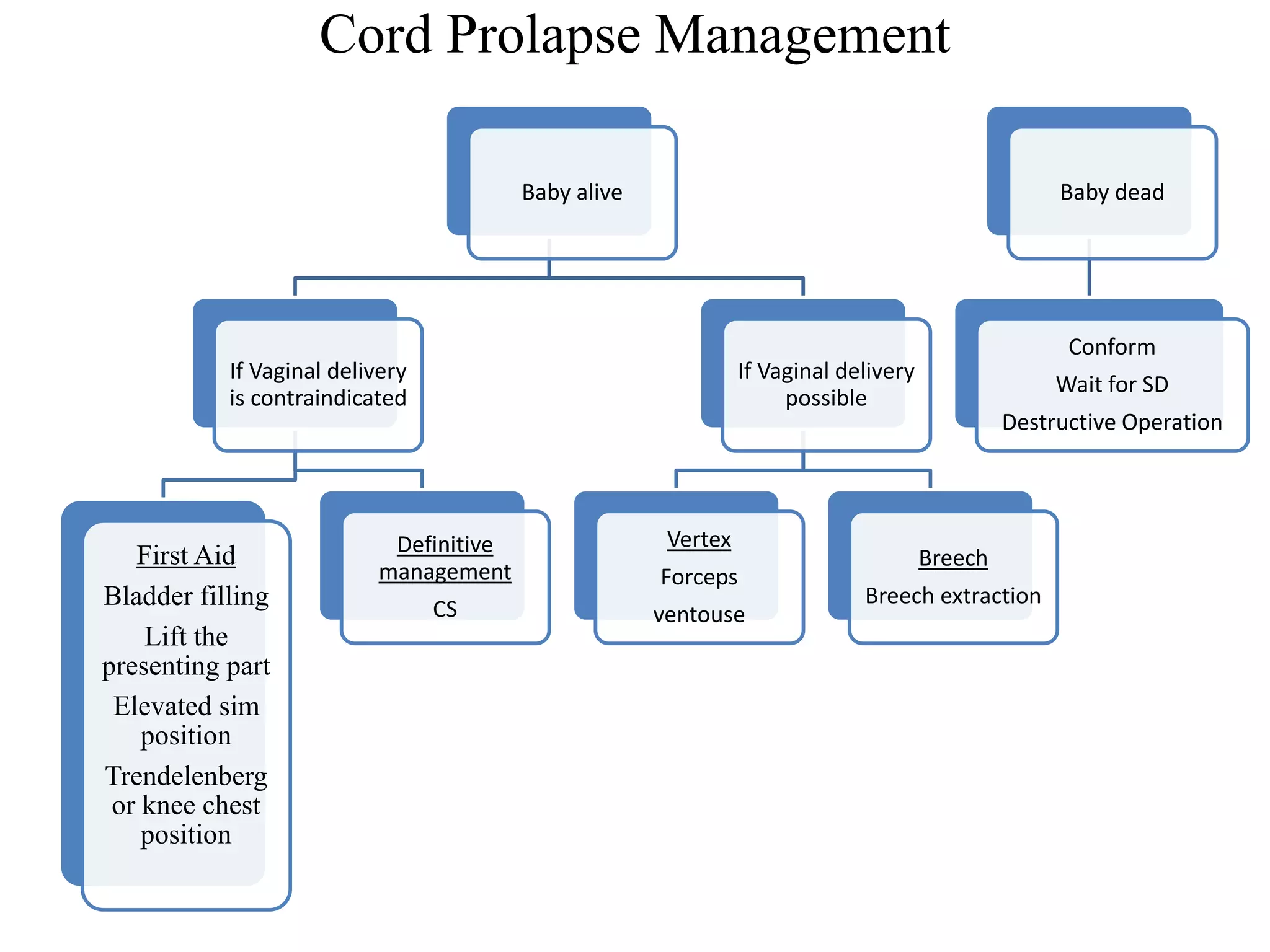 Cord prolapse sasi (2) | PPTX