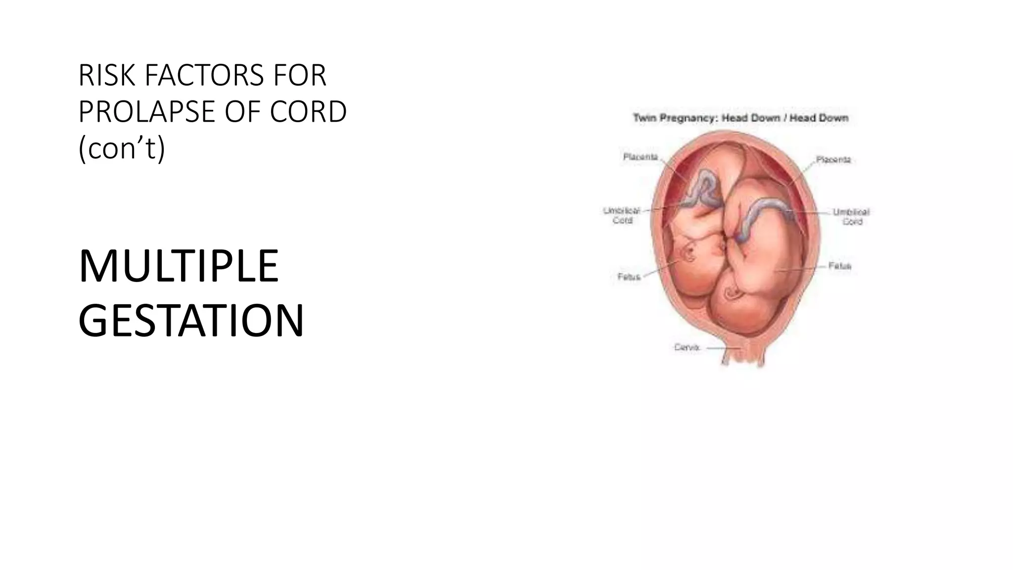 CORD PROLAPSE AND CORD PRESENTATION.pptx