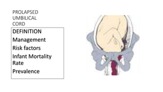 CORD PROLAPSE AND CORD PRESENTATION.pptx