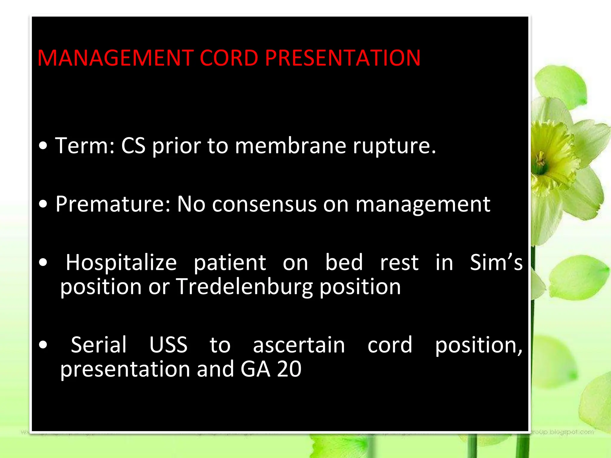 CORD PROLAPSE CORD PRESENTATION (1).pptx