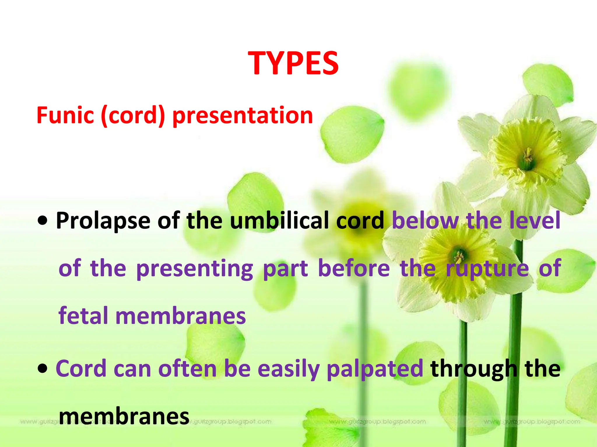 CORD PROLAPSE CORD PRESENTATION (1).pptx