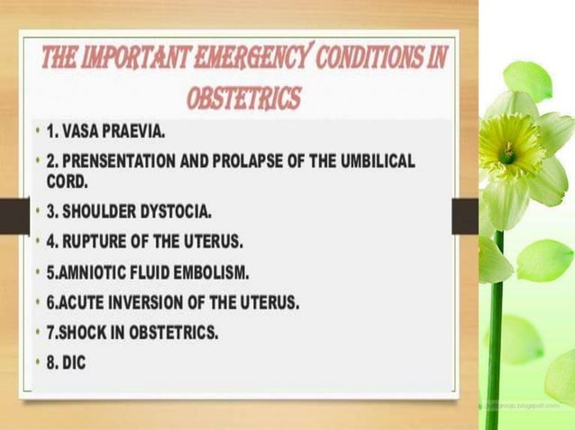 CORD PROLAPSE CORD PRESENTATION (1).pptx