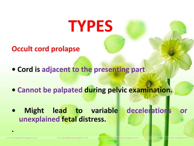 CORD PROLAPSE CORD PRESENTATION (1).pptx