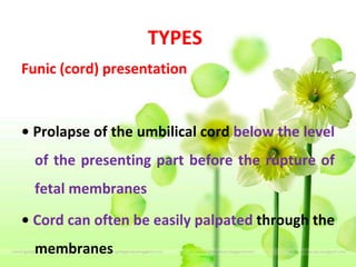 CORD PROLAPSE CORD PRESENTATION (1).pptx