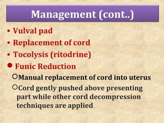 Cord prolpase for undergraduate | PPT
