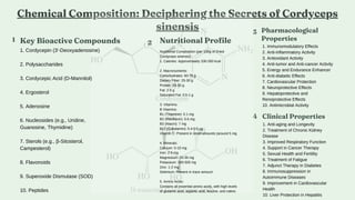 𝘾𝙤𝙧𝙙𝙮𝙘𝙚𝙥𝙨 𝙨𝙞𝙣𝙚𝙣𝙨𝙞𝙨 - Juhi Khanal (D.S.B. Campus, Kumaun University) | PDF