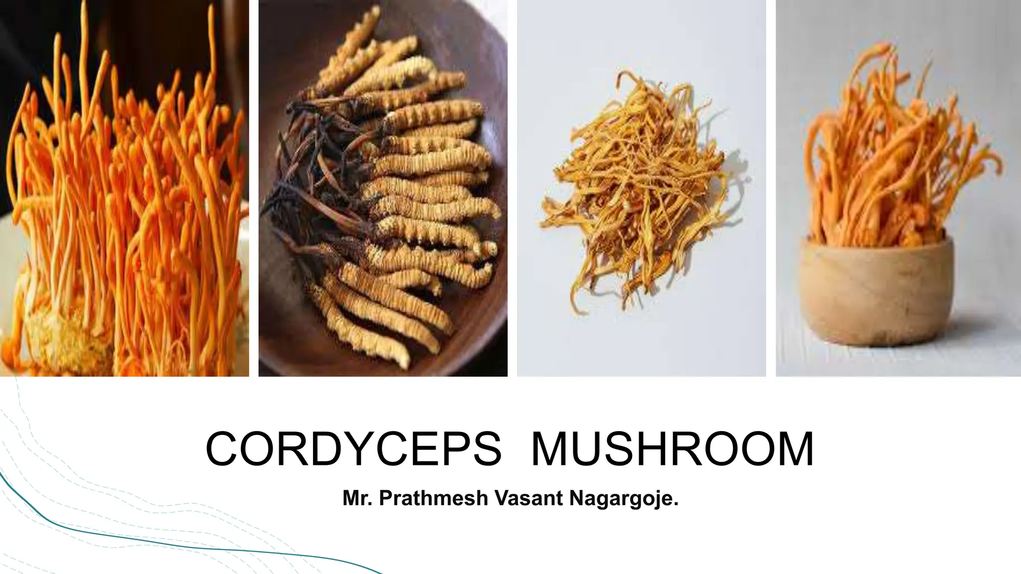 Cordyceps Mushroom introduction medicinal use nutrient importance | PPTX
