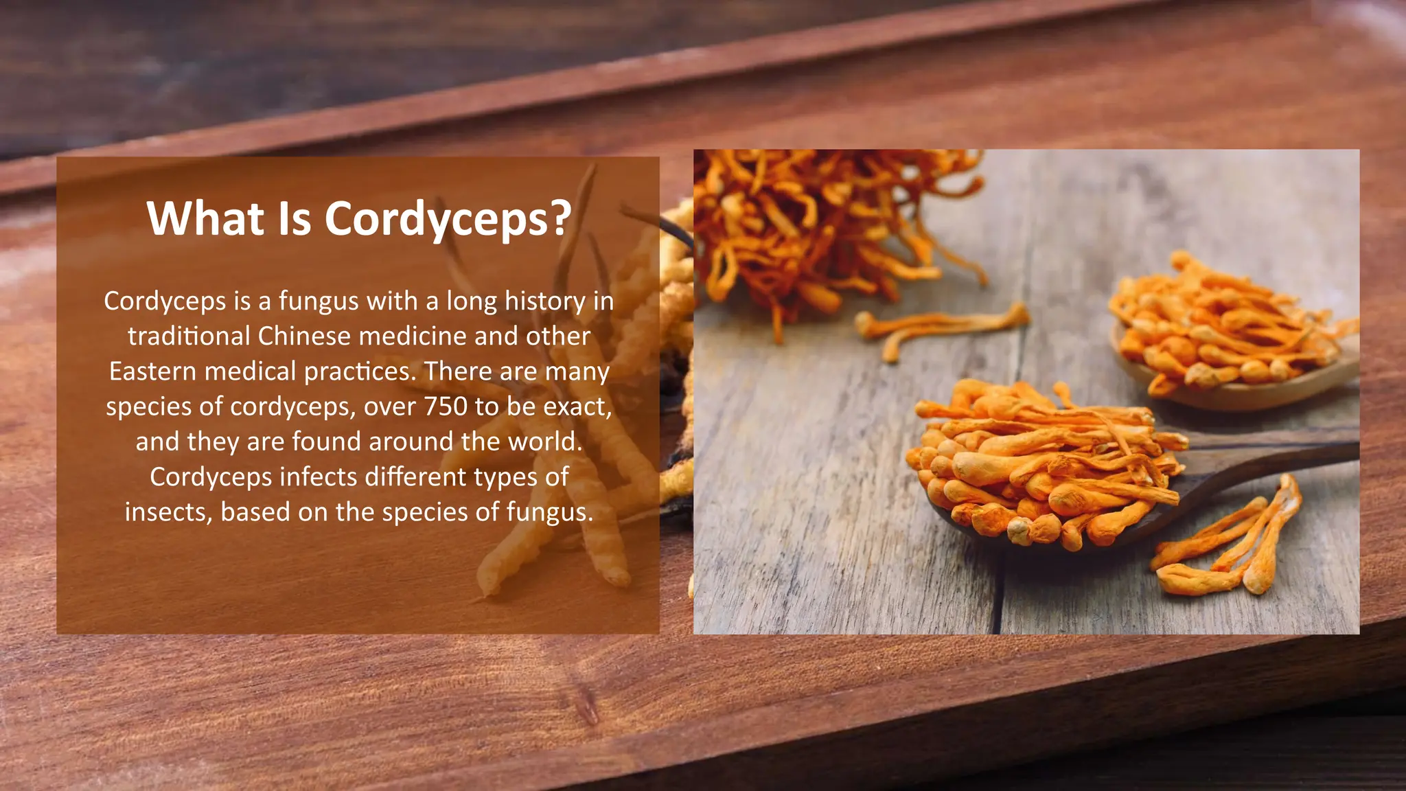 Cordyceps Mushrooms: An Overview Cordyceps Mushrooms: An Overview. | PPTX