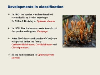 Cordyceps ppt.pptx