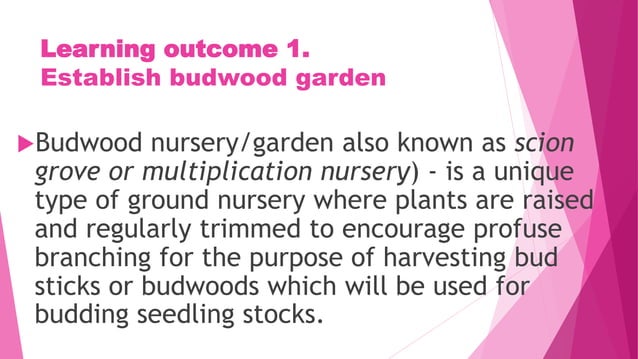 CORE-1.-PRODUCE-BUDSTICK.pptx