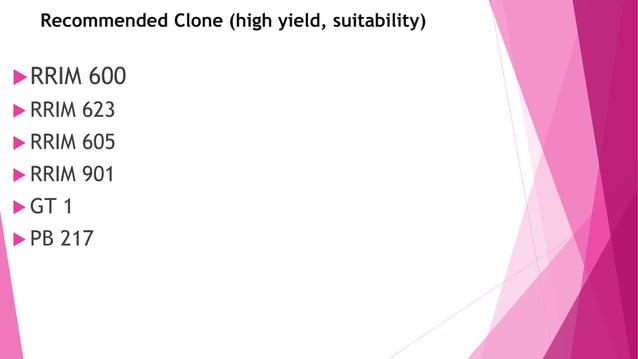 CORE-1.-PRODUCE-BUDSTICK.pptx