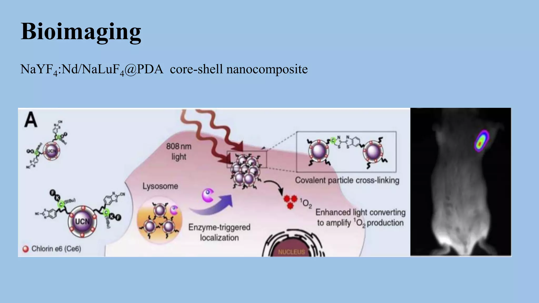 Core shell nanoparticles and its biomedical applications | PPTX