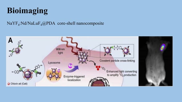 Core Shell Nanoparticles And Its Biomedical Applications Pptx Chemistry Science