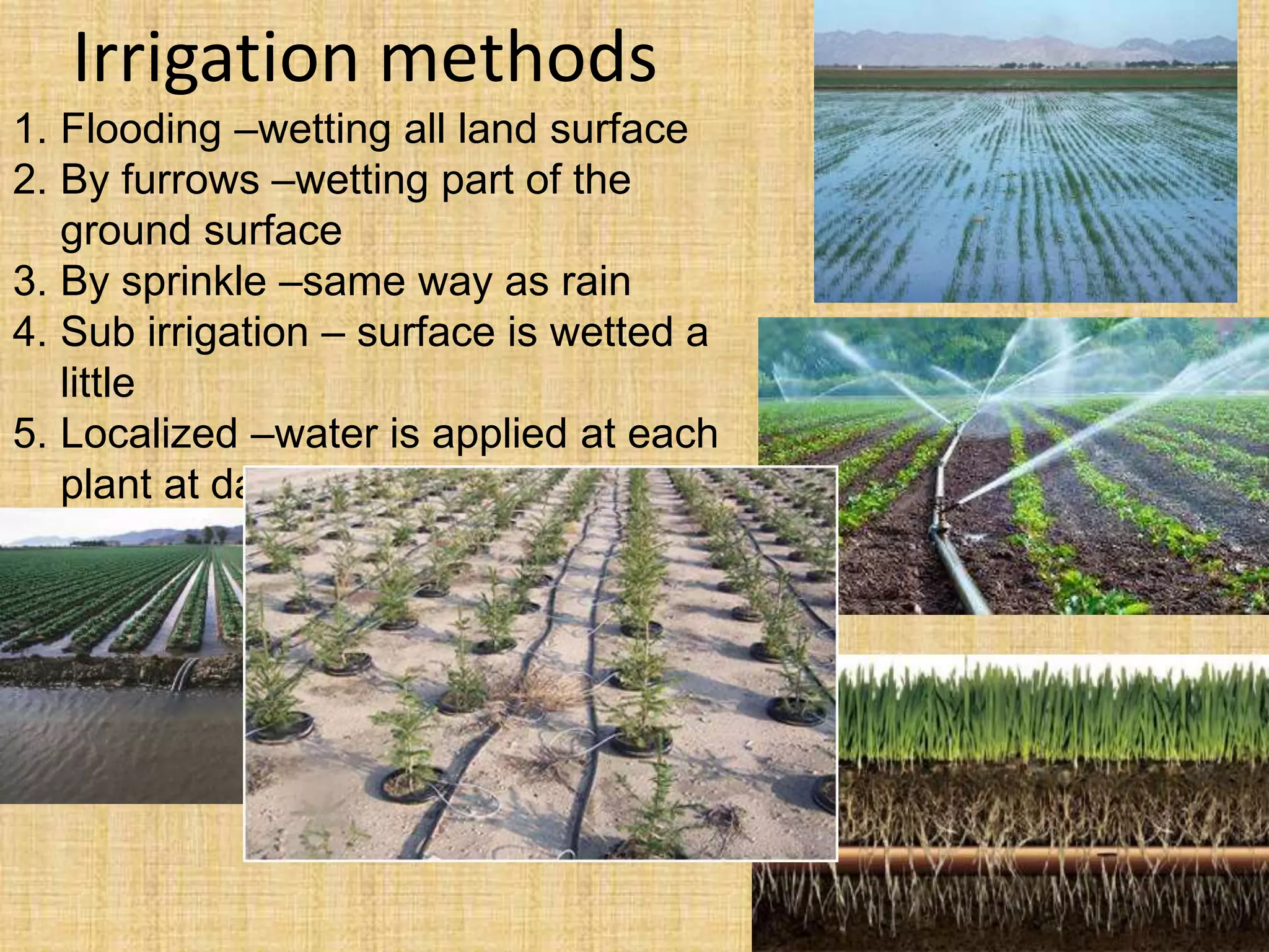 Core uc1-nursery facilities AGRICULTURAL CROP PRODUCTION | PPTX