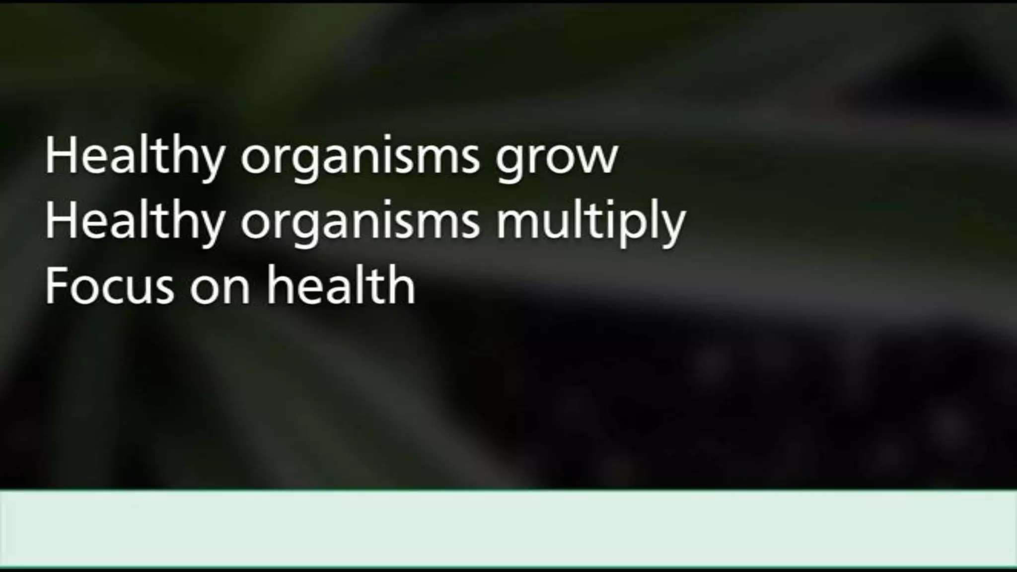 Living Word Core Values: Congregation | PPT