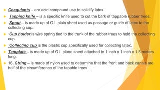 CORE 5 HARVEST LATEX in Tesda NC 2 rubber | PPTX