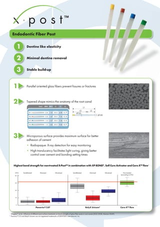 Core and post system | PDF
