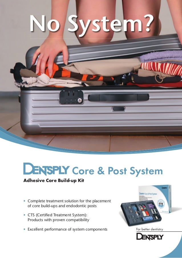 Core and post system