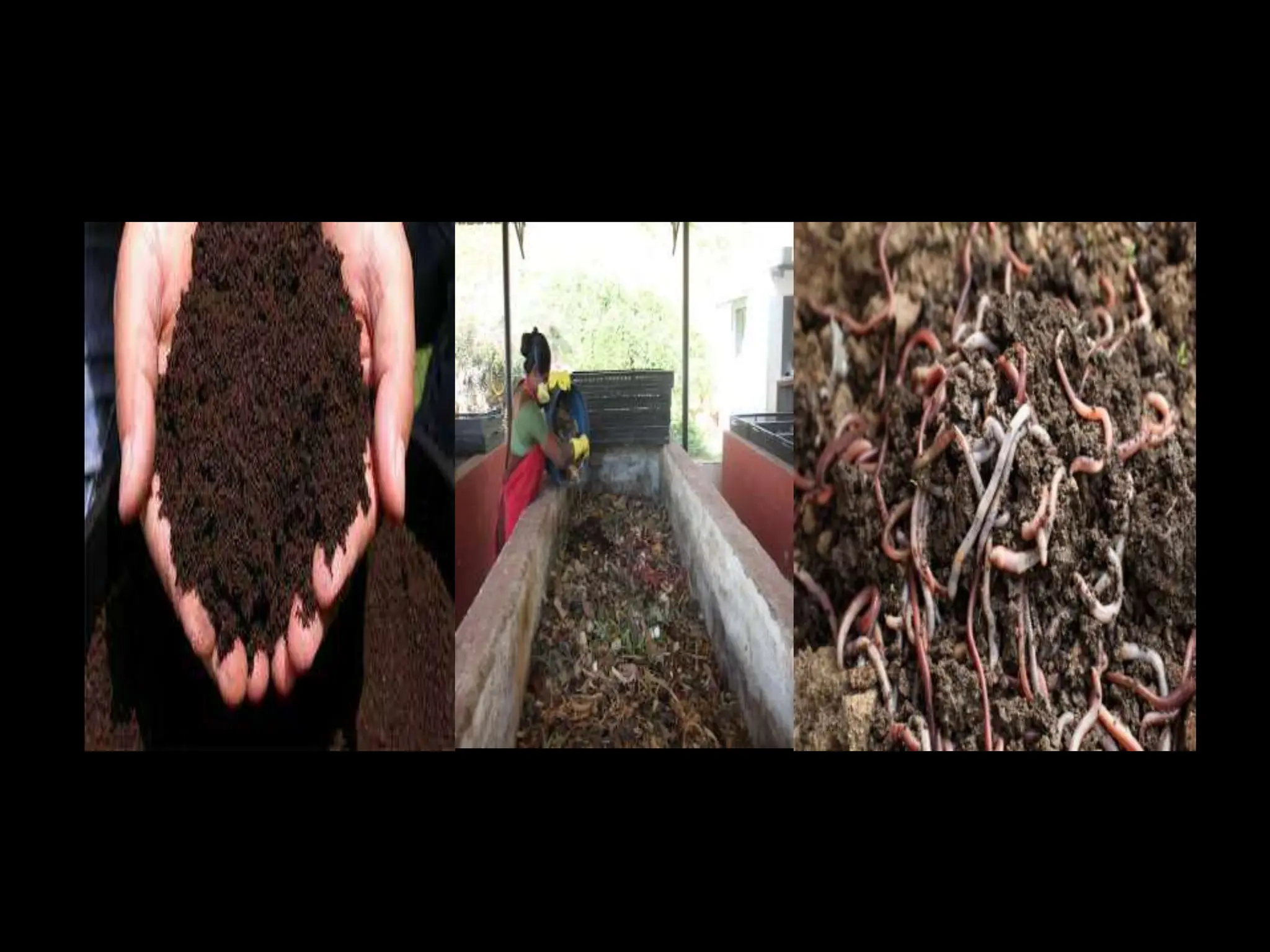 CORE COMPETENCY 3 PRODUCE ORGANIC FERTILIZER.pptx