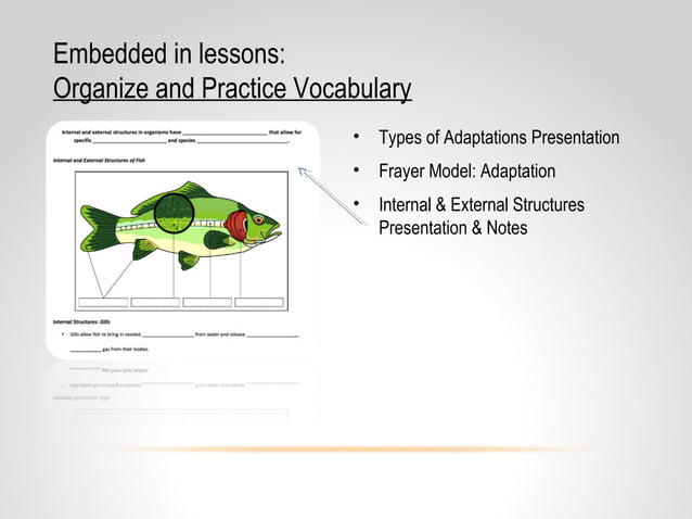 Core Content Coaching Grade 7 Internal & External Structures 14-15 | PPT