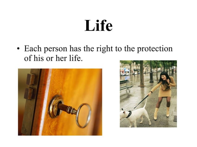 Core democratic values | PPT