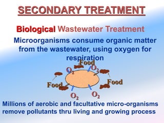 Core ii activated sludge process | PPTX