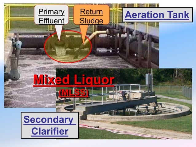 Core ii activated sludge process | PPTX