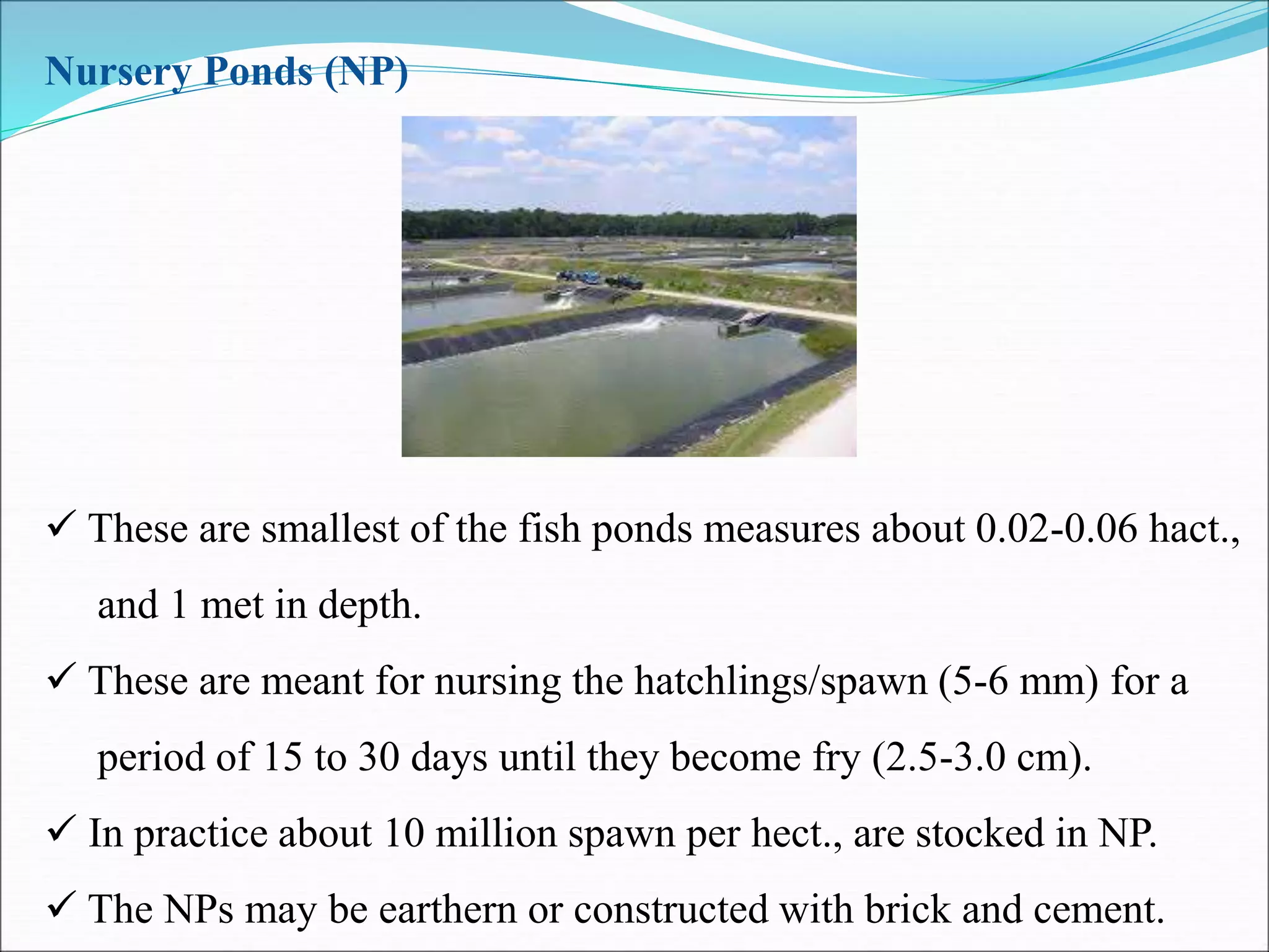 Nursery pond management of Fishes | PPT