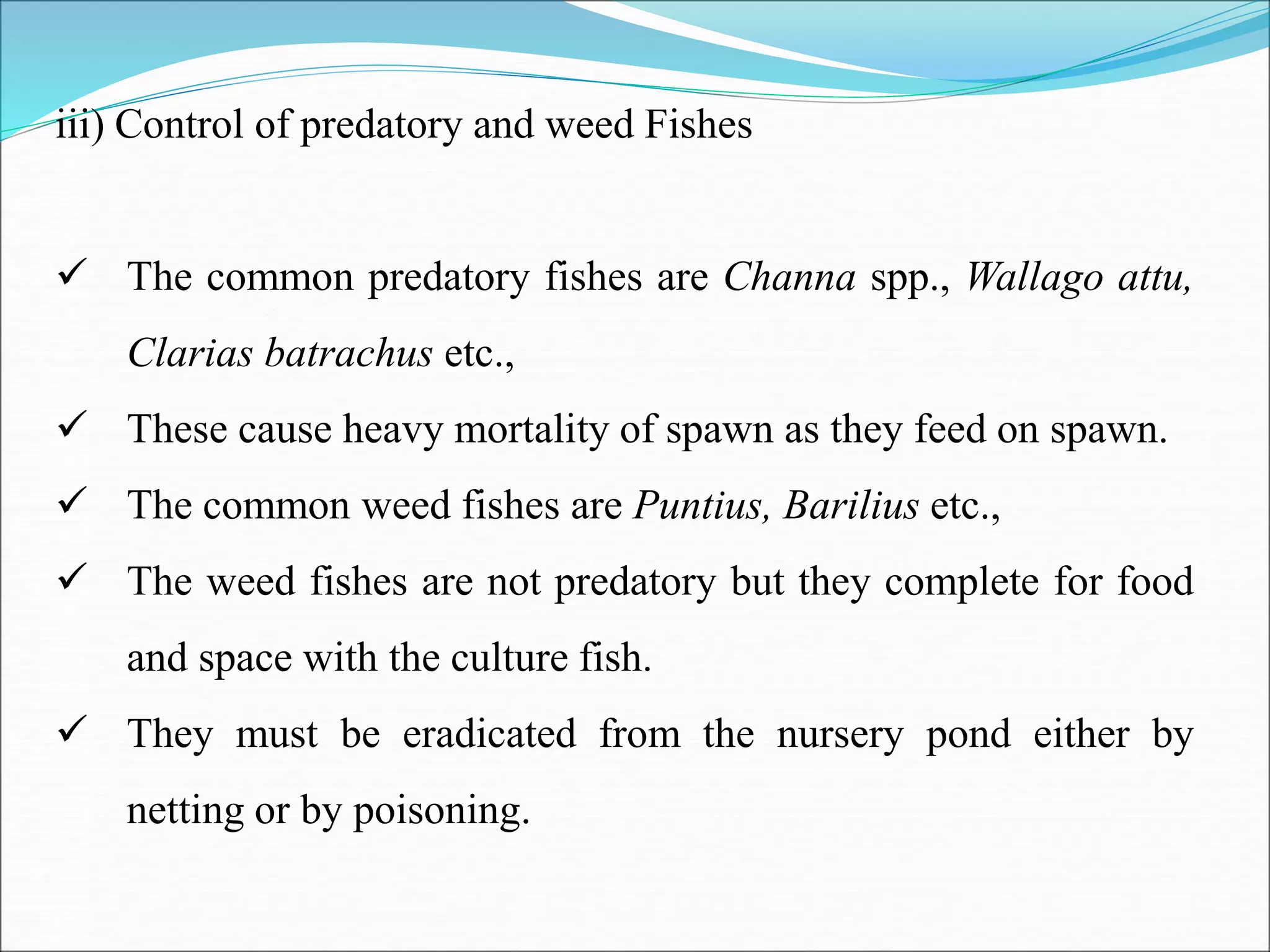 Nursery pond management of Fishes | PPT
