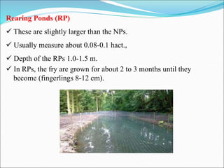 Nursery pond management of Fishes | PPT