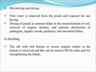 Nursery pond management of Fishes | PPT | Zoos & Aquariums | Attractions